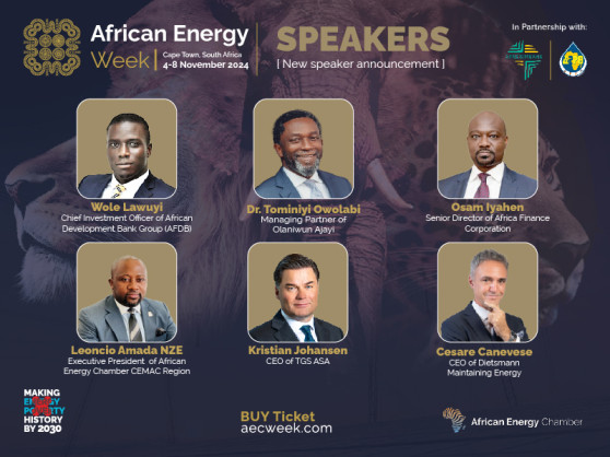 Finance, Logistics, Technology Experts Join African Energy Week (AEW ...