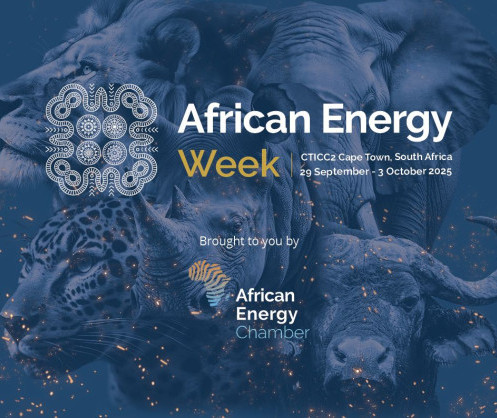 APO Group - Africa Newsroom / Press release | African Energy Week 2025 ...