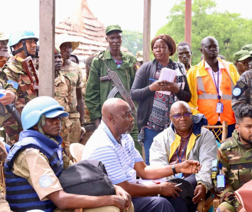APO Group - Africa Newsroom / Press release | United Nations Mission in ...