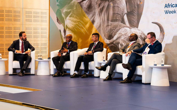 African Energy Week (AEW) 2024: Africa’s Energy Infrastructure Can Only Succeed with Enhanced ...
