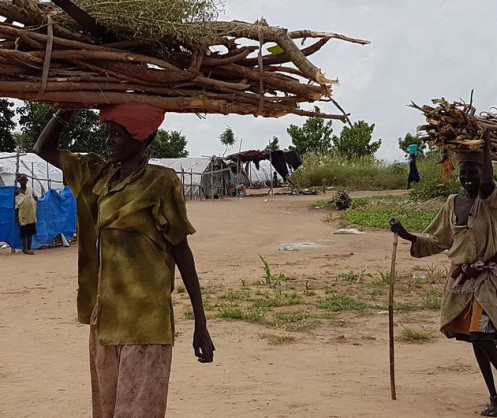 APO Group - Africa Newsroom / Press release | South Sudan: Human Rights ...