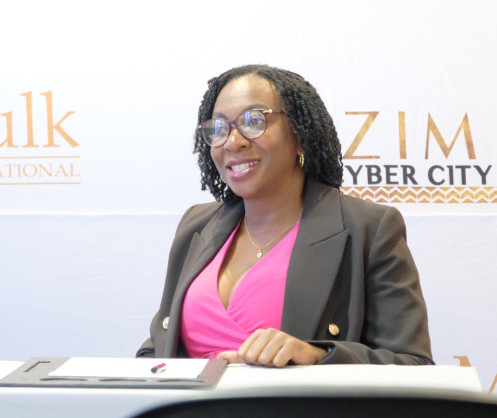 APO Group - Africa Newsroom / Press release | Zim Cyber City is open to investors