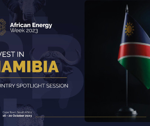 APO Group - Africa Newsroom / Press release | Namibia’s Historic Energy ...